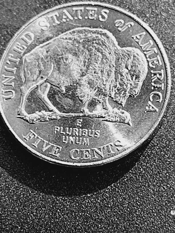 2005 D Mint Rare Buffalo Five Cent DD in IN GOD WE TRUST and in LIBERTY ...