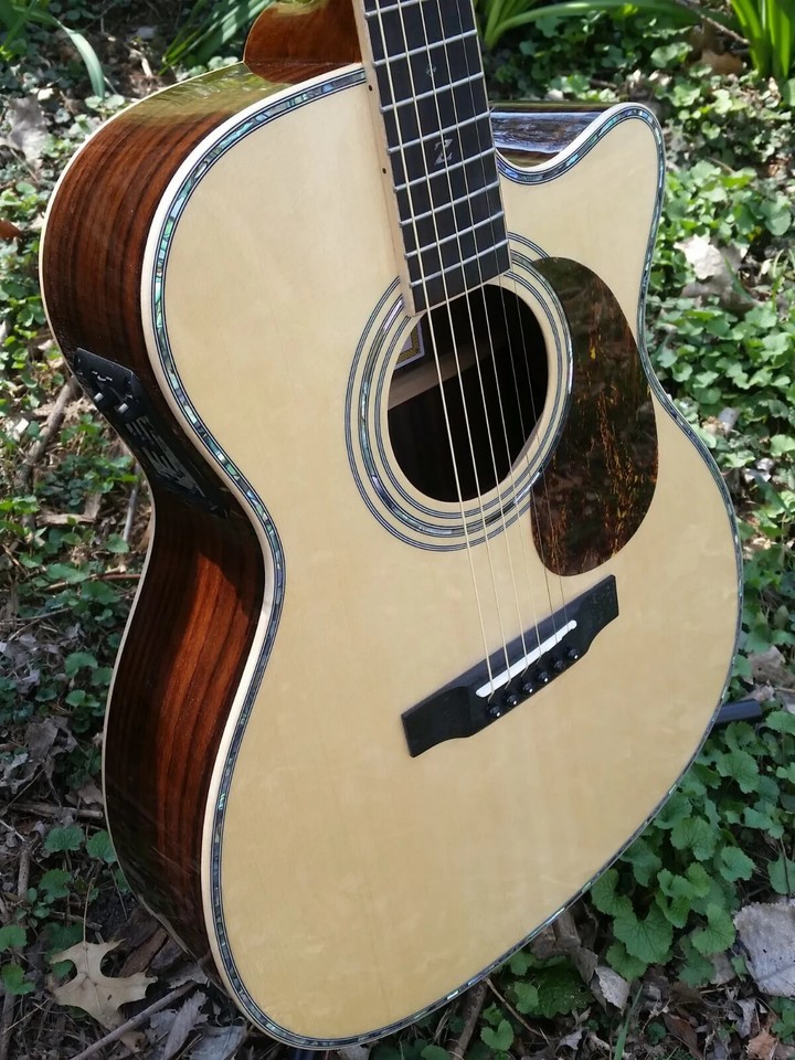 ZAGER ACOUSTIC ELECTRIC GUITAR used by Peter Paul Mary John Denver ...