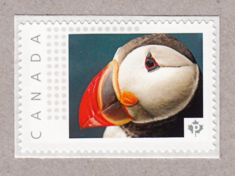 ATLANTIC PUFFIN = Picture Postage stamp MNH Canada 2016 [p16/04-2pf3/1 ...