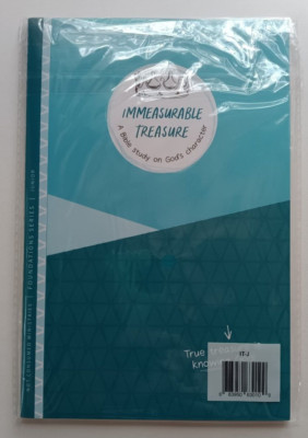 Immeasurable Treasure by Not Consumed Ministries - Foundations Series ...