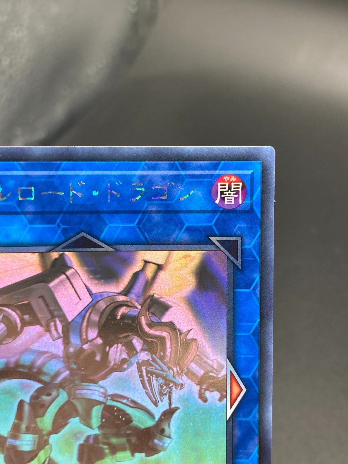 YuGiOh Japanese Borreload Dragon Holographic Rare | CIBR-JP042 - La Paz County Sheriff's Office ...