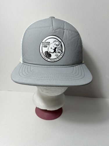 Innova Disc Golf Beaver State Fling Hat Keen 110 Flexfit Adjustable ...