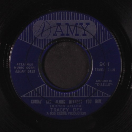 TRACEY DEY: gonna' get along without you now AMY 7" Single 45 RPM | eBay