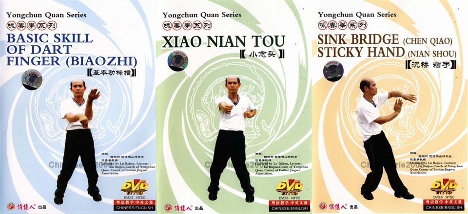 Traditional martial arts Wing Chun Kungfu Yong Chun Series by Lu Baijun ...