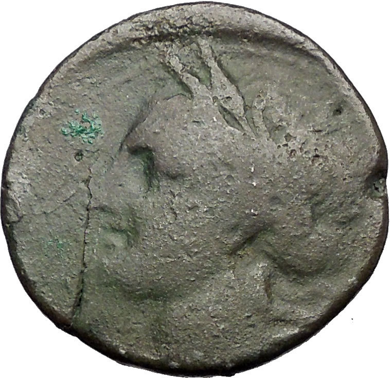 CARTHAGE ZEUGITANA 201BC Tanit Horse LARGE 3 Shekels Ancient Greek Coin ...
