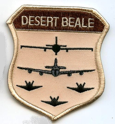 DESERT STORM USAF DESERT BEALE U-2 RC-135 F-II7 TEAM INFIDEL TALIBAN ...