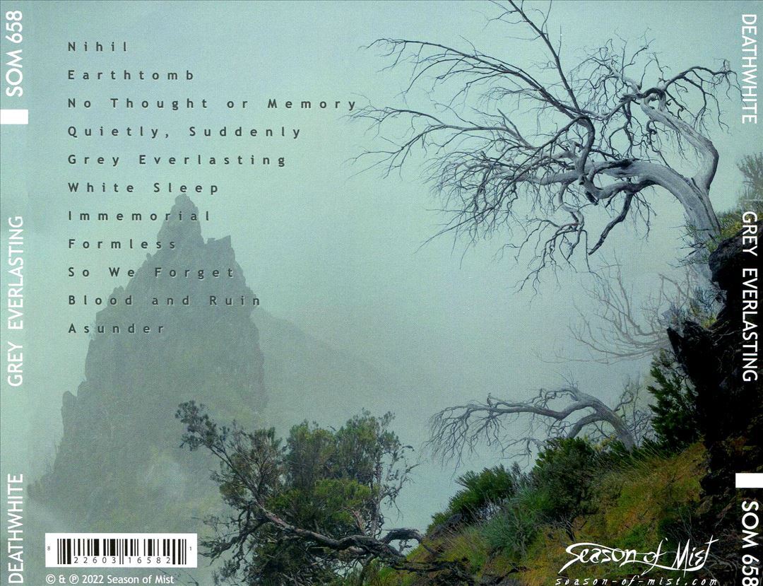 GREY EVERLASTING NEW CD 822603165821| eBay