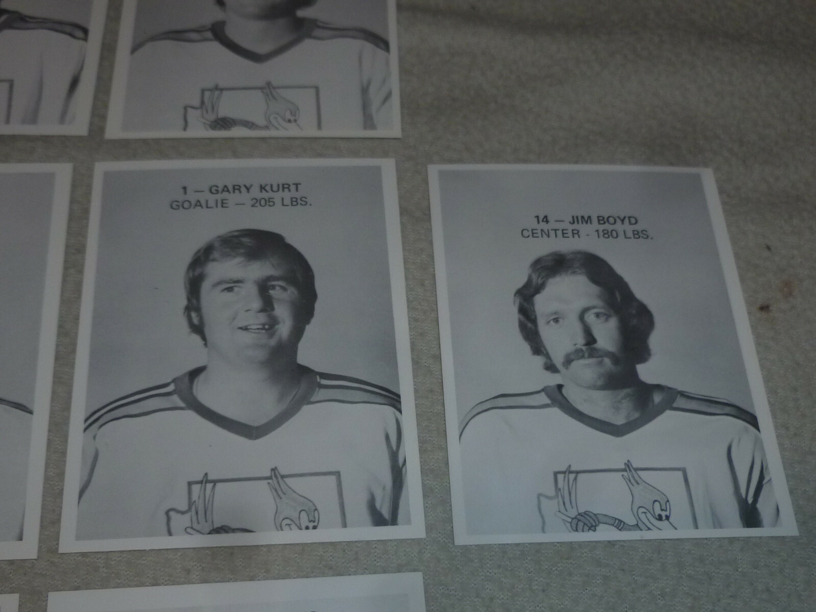 1975-76 WHA PHOENIX ROADRUNNERS TEAM PHOTO SET HOCKEY ROBBIE FTOREK ...