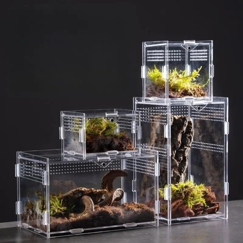 Clear Lizard Breeding Box Acrylic Small Pet Cage Reptile Habitat for ...