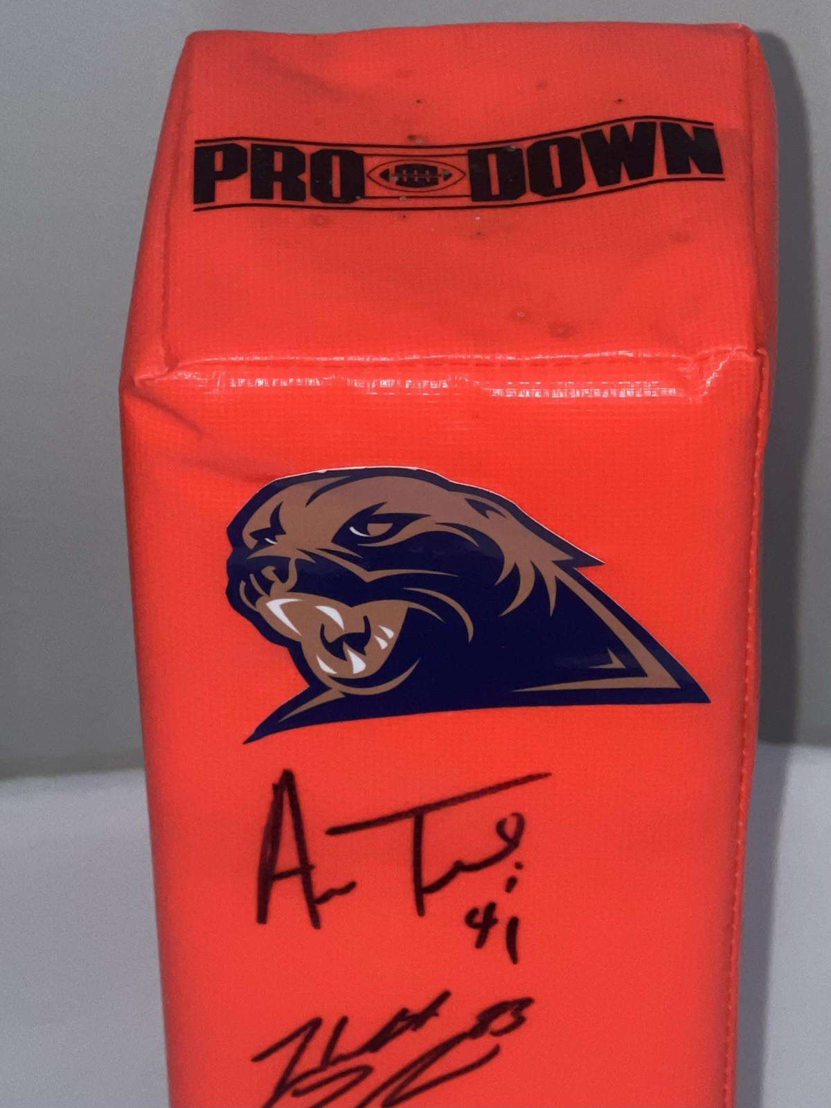 University of Pittsburgh Panthers Signed End Zone Pylon - Ray Graham ...