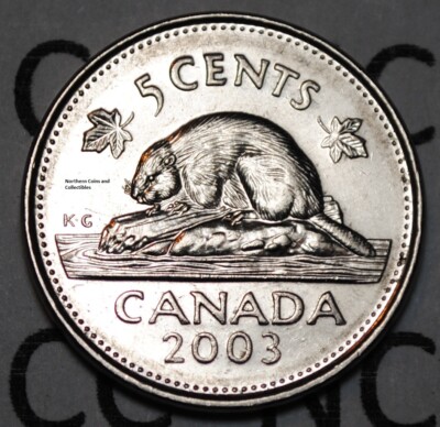 Canada 2003 P New Effigy 5 cents Canadian Five Cents Nickel | eBay