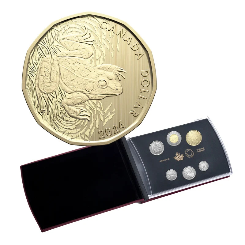 🇨🇦 2024 Conservation Stories: Northern Leopard Frog - Specimen Set ...