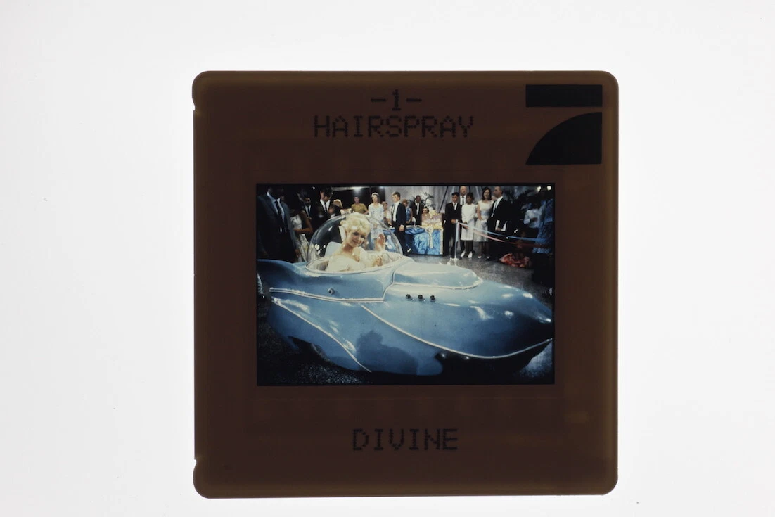 Colleen Fitzpatrick Hairspray