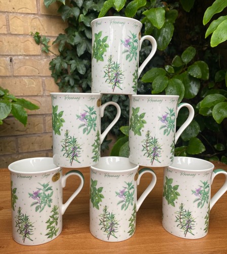 Set of 6 fine china coffee tea mugs Herb Garden Pattern | eBay