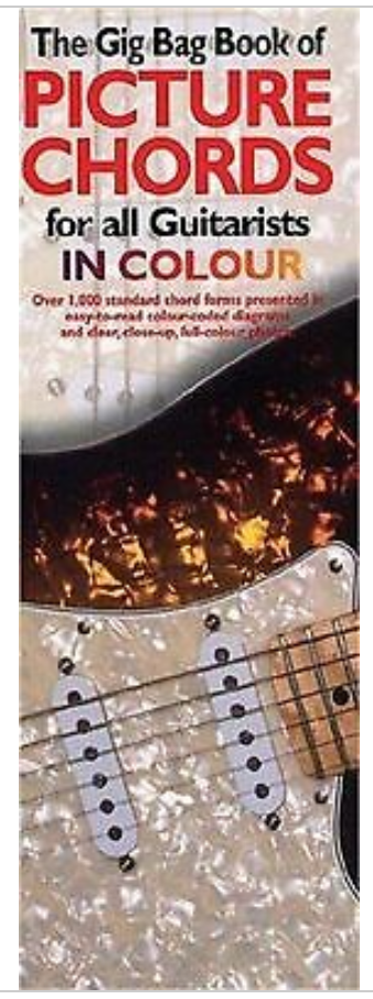GIG BAG BOOK OF PICTURE CHORDS FOR ALL GUITARISTS IN COLOR ...