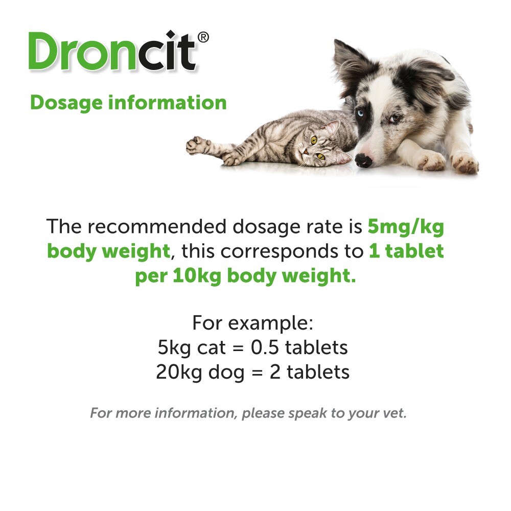 Droncit Dog Cat Tapeworm Worming Tablets Wormer (50mg Tablet - AVM-GSL ...
