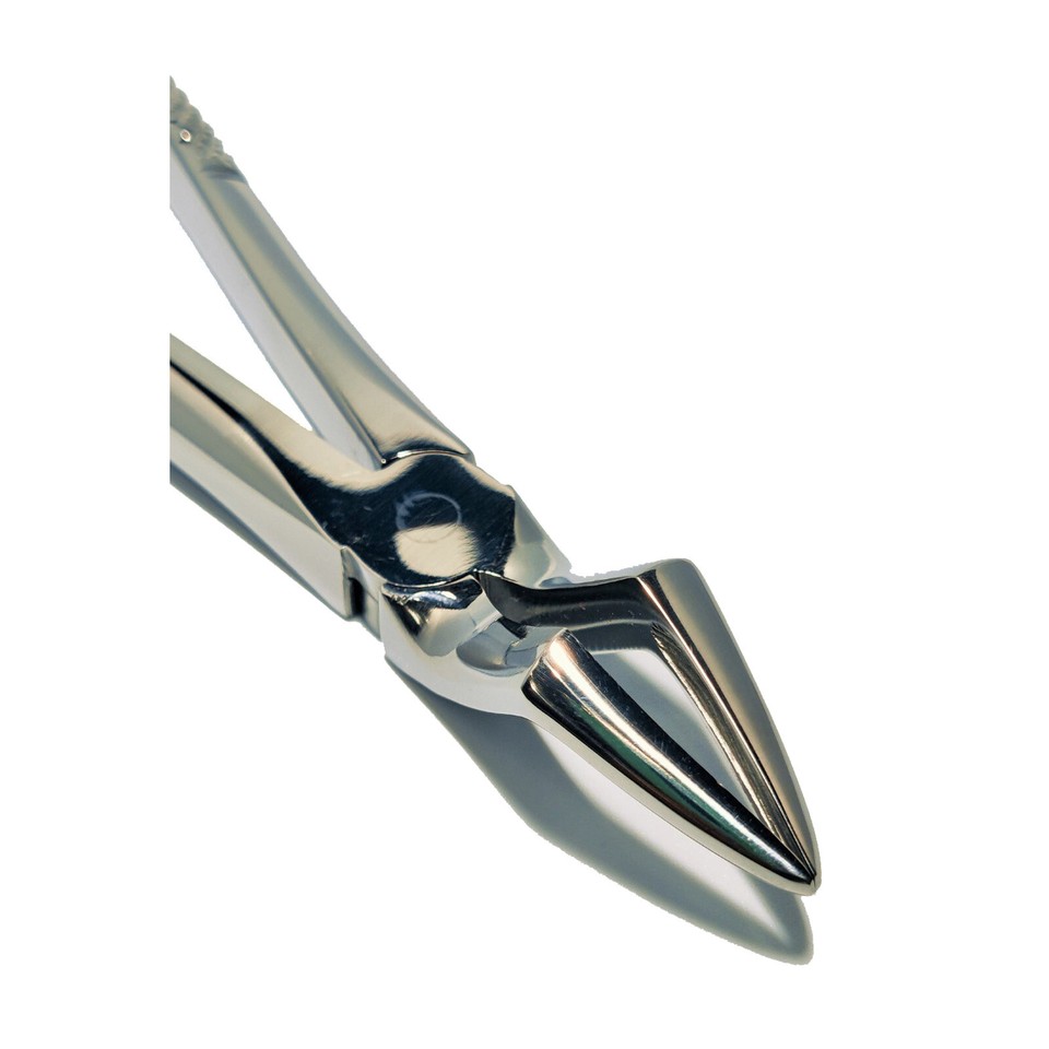 Professional Dental Upper Roots No.51A Bayonet Tooth Extraction Forceps ...