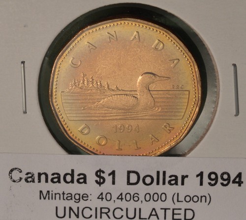 1994 Canada Loonie (Loon) - Uncirculated from mint roll | eBay