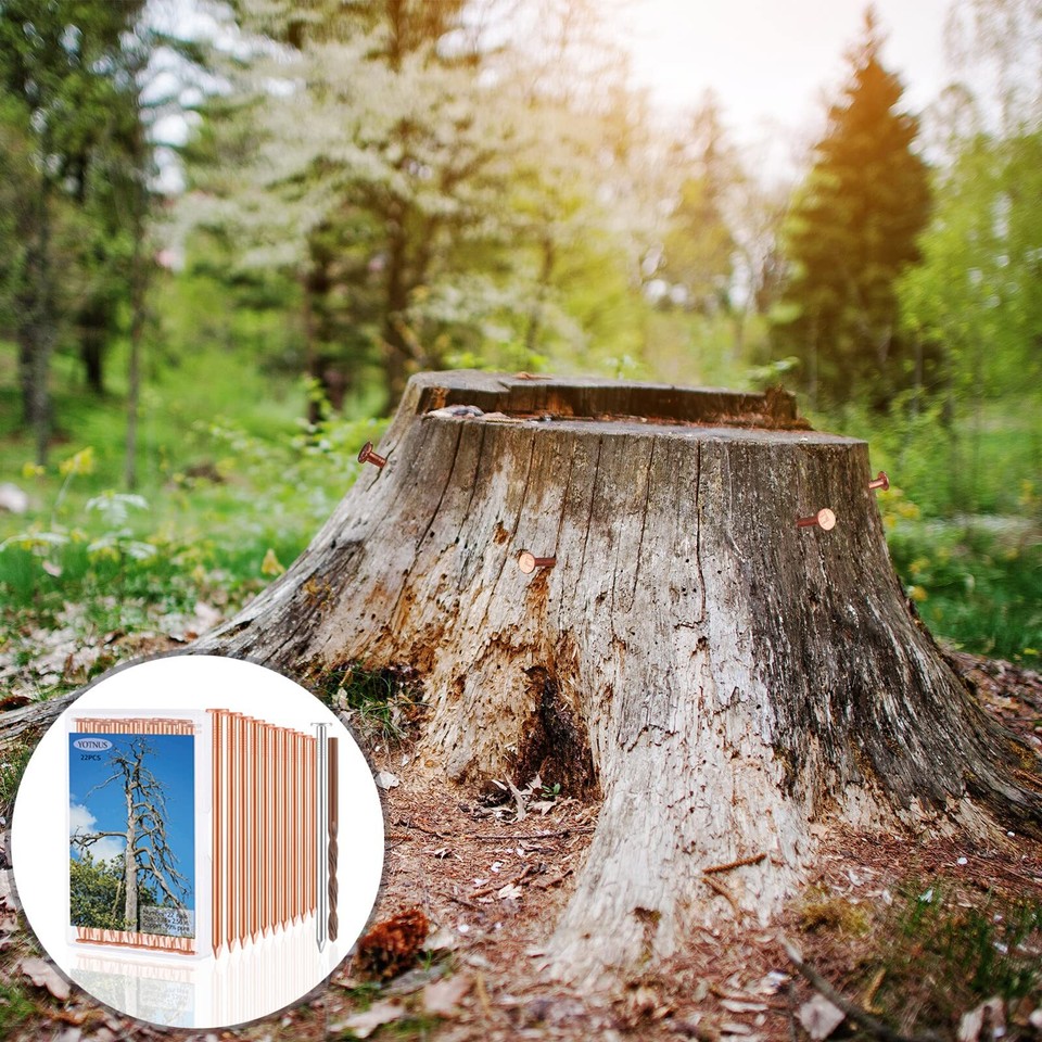 20 Pcs Copper Nails for Killing Trees, Stumps & Roots -3.5 Inch Long ...