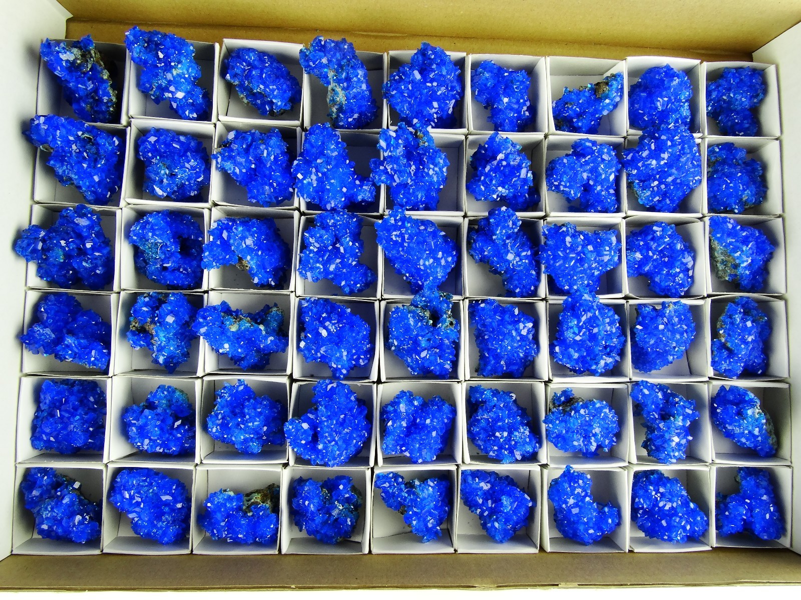 WHOLESALE BOX with CHALCANTHITE - 24 pcs - ELECTRIC BLUE alunite, alum ...