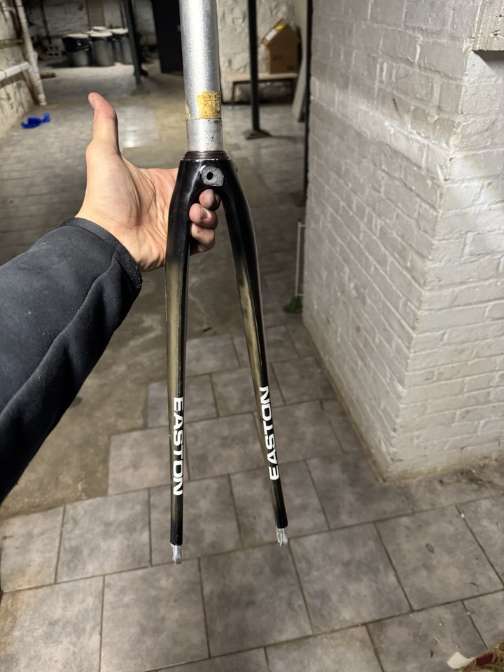 Easton EC70 700c Carbon Fork for Road/Track | eBay