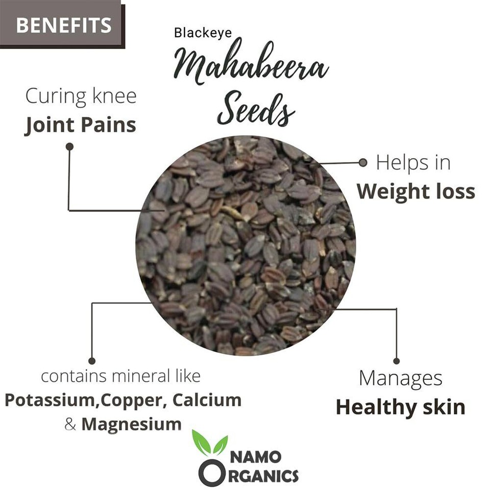 Natural & Organic Mahabeera Seeds Ginjalu Pignut Vilati Bhustrna | eBay UK