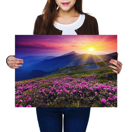 A2 | Sunset Landscape Flowers Field - Size A2 Poster Print Photo Art ...