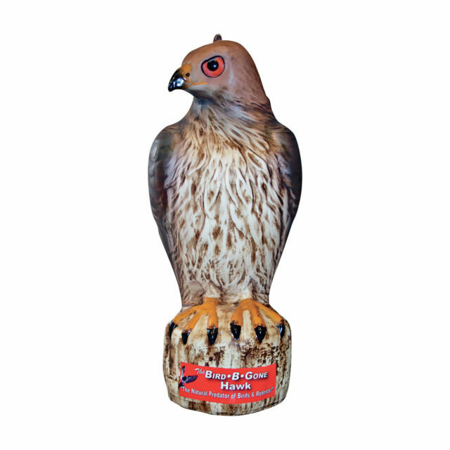 Bird B Gone Hawk Decoy MMRTH1 Pest Repellent Control Scarecrow Yard ...