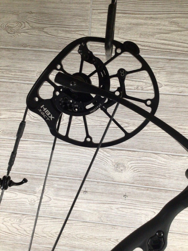 Hoyt RX-8 RH Black 70lbs 25-30" | eBay