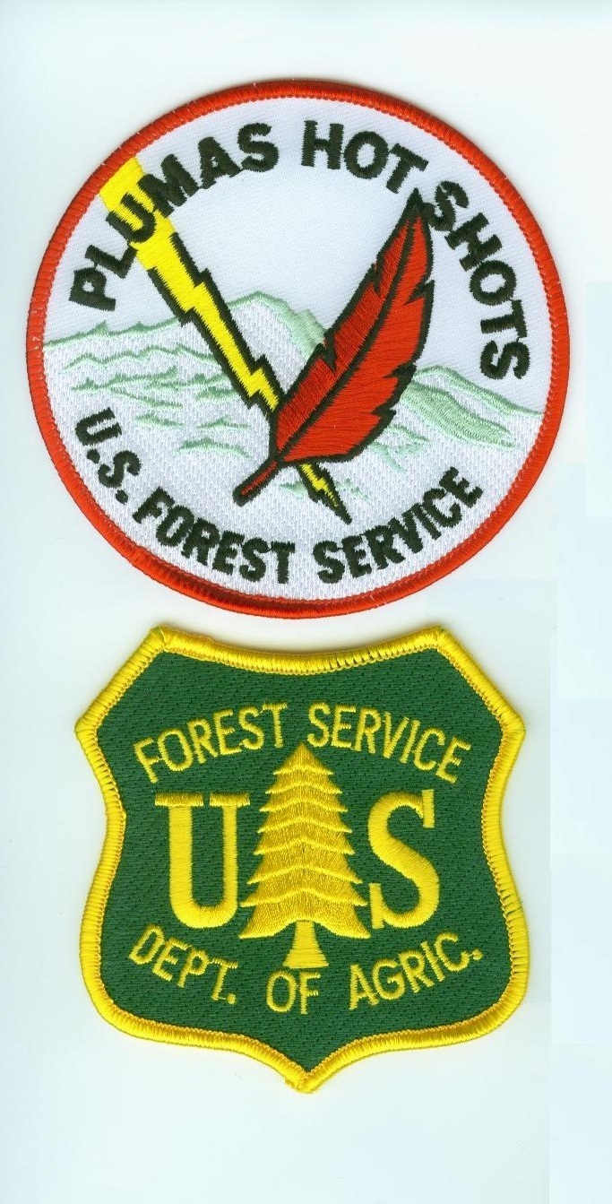 WORLD FOREST FIREFIGHTER PATCH: National Park Fire Dept Smokey Bear Be ...