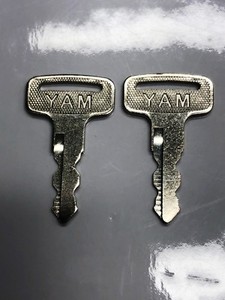 Fits YAMAHA GOLF CART KEY (2) TWO - FREE SHIPPING | eBay