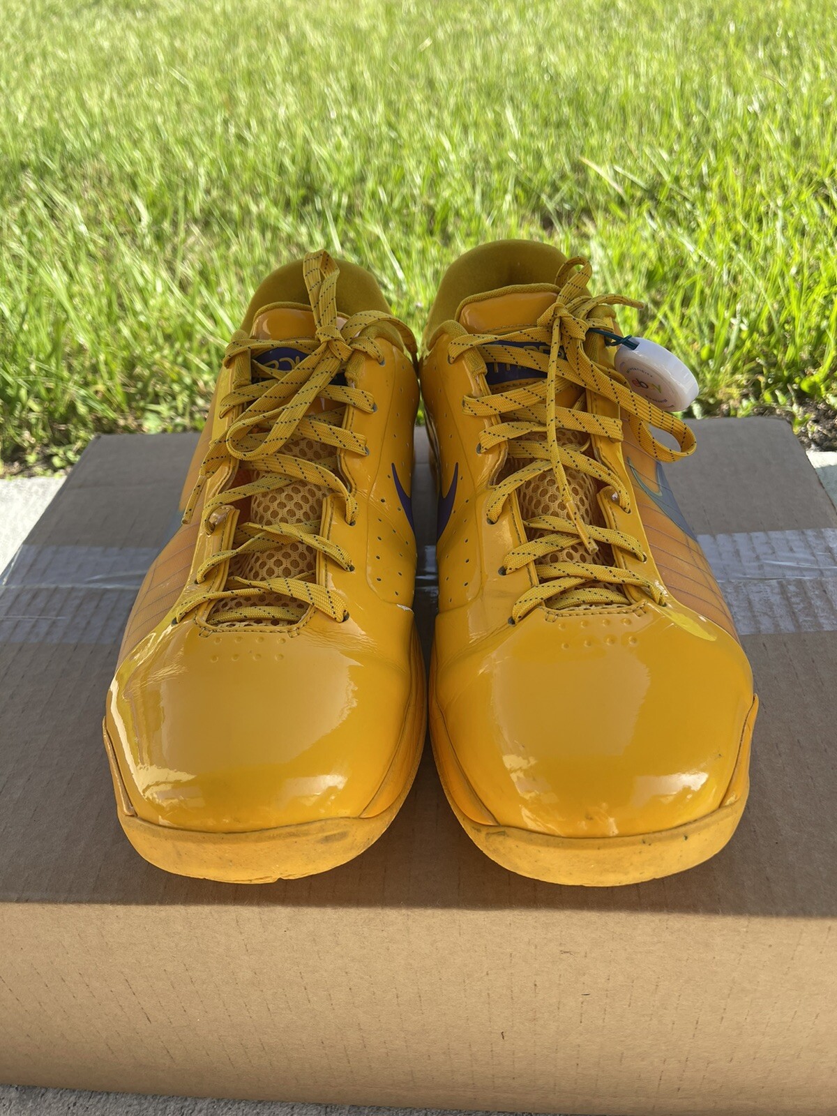 Kobe Snake Pit Nike Hyperdunk Lakers 2008 Men 12 Rare… - Gem