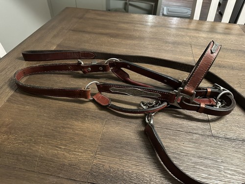 Horse Tack - Leather Western Silver Show Halter & Chain Lead Shank | eBay