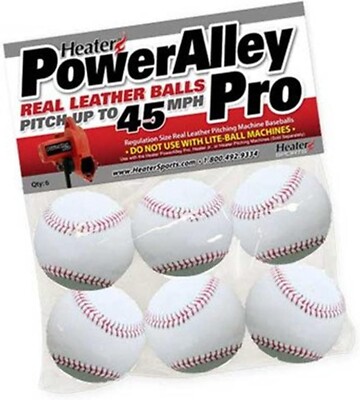 Heater Sports PowerAlley White Leather Balls 6 Pack | eBay