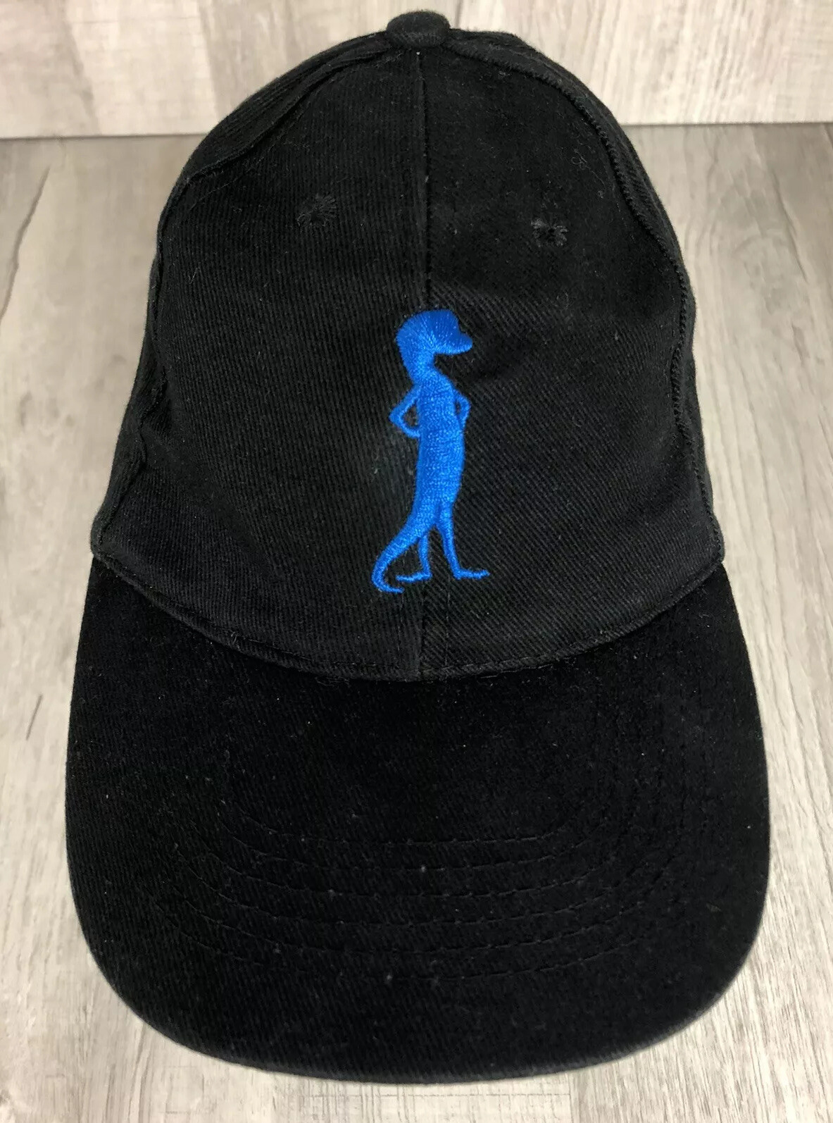 GEICO Black Hat Blue Gecko Knit Logo Norm Core Low Pr… - Gem