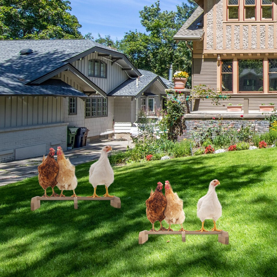 Hen Stand Coop Chicken Supplies Bird Feeders for Outdoors Hammock Swing ...