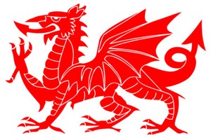 Welsh Dragon Vinyl Sticker - Graphics - Decal | eBay