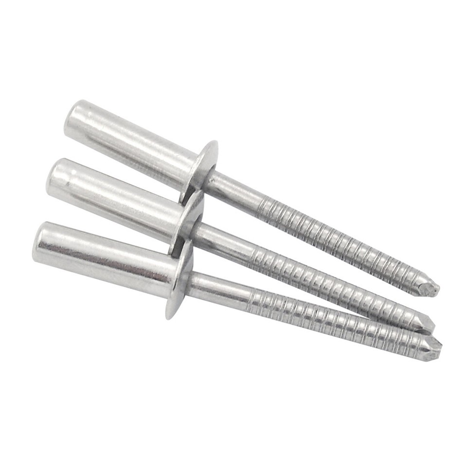 100x 3/16" M4.8 DiameterStainless Steel Closed End Domed Blind Rivets ...