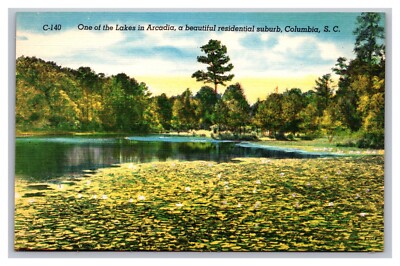 Columbia SC South Carolina Lake in Arcadia Resident Suburb C-140 Linen ...
