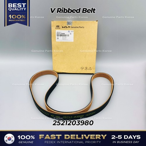 ⭐Genuine⭐ V Ribbed Belt 2521203980 for Hyundai Accent Kia Rio | eBay