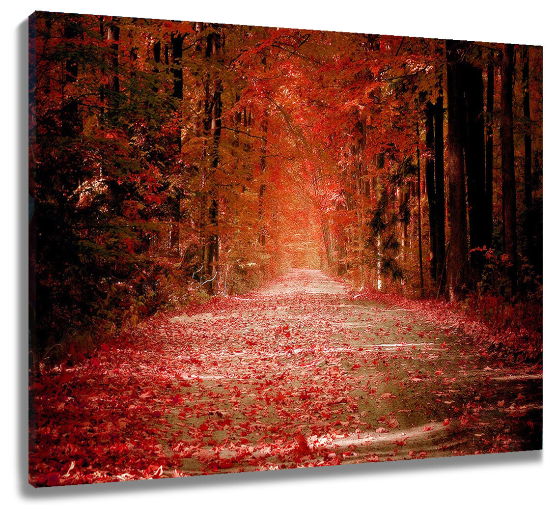 Autumn Forest Path Painting