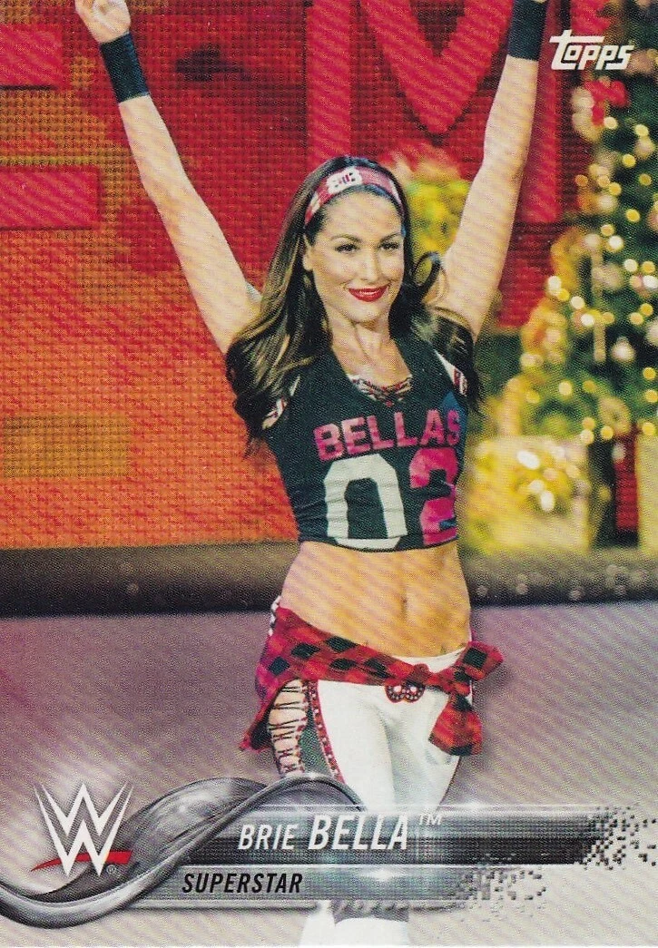 Brie Bella Costume