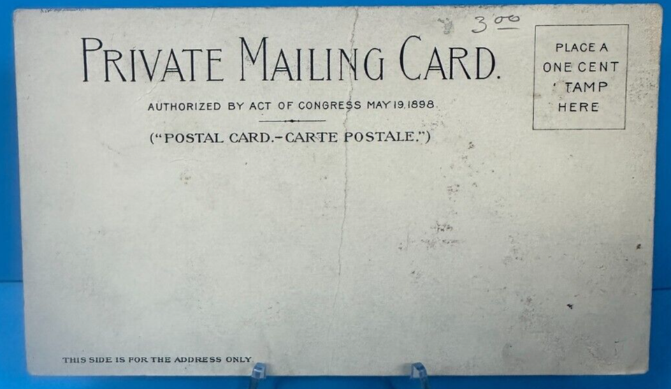 1904 COLOR Official Souvenir Mailing U.S. Government Building Card Post ...
