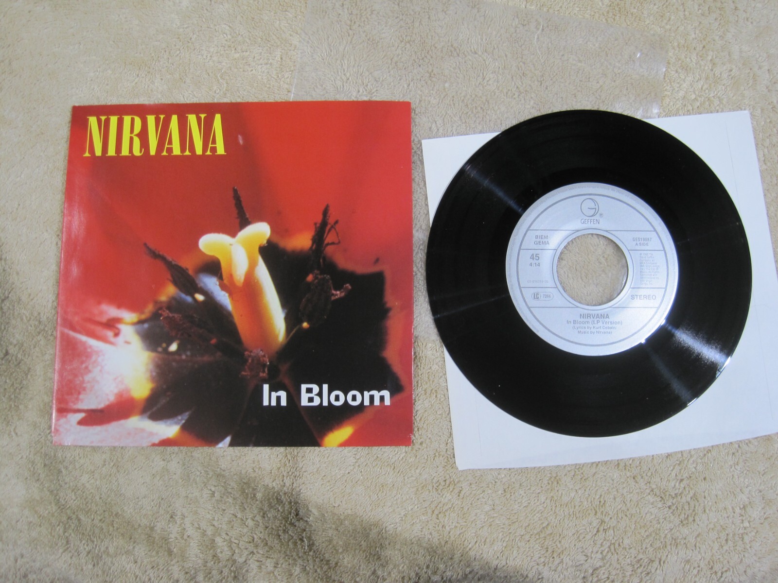 In Bloom Nirvana