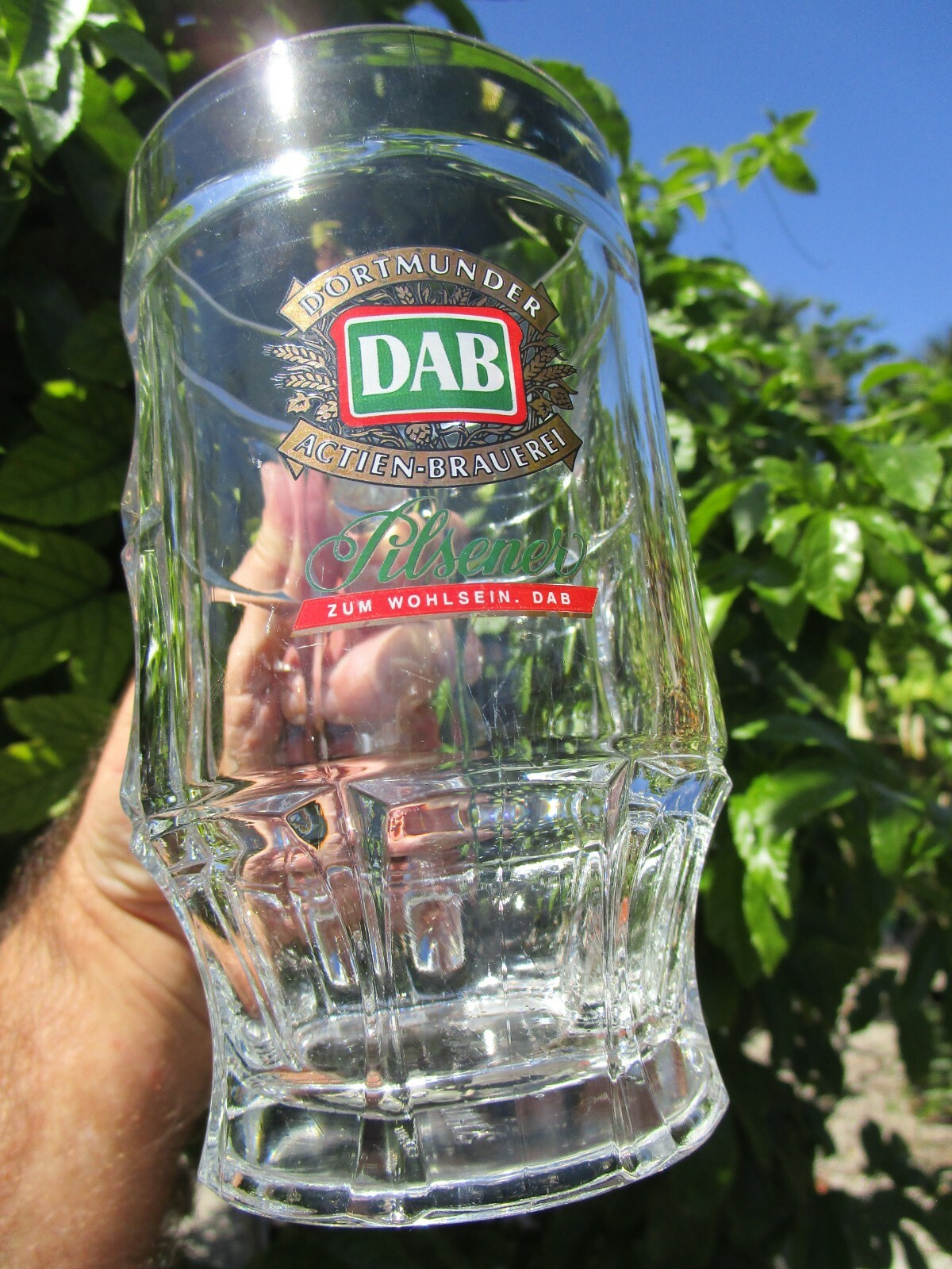 Dortmunder DAB Actien Brauerei Brewery Glass Beer Drink Mug Stein 0.5 L ...