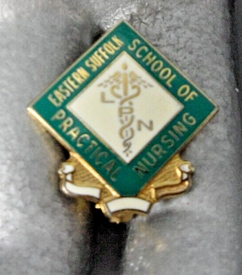 10K Gold Filled LPN Lapel Pin Eastern Suffolk School of Practical ...