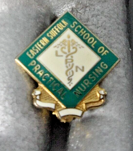 10K Gold Filled LPN Lapel Pin Eastern Suffolk School of Practical ...