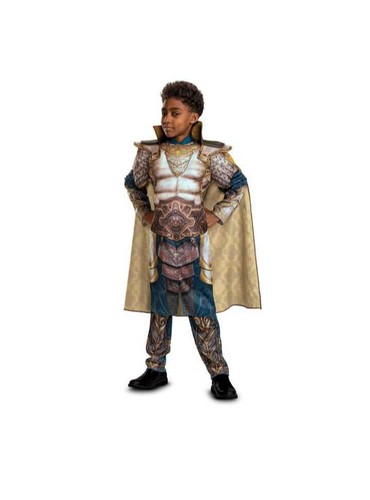 Xenk the Paladin Muscle Halloween Child Boy Costume Dungeons & Dragons ...