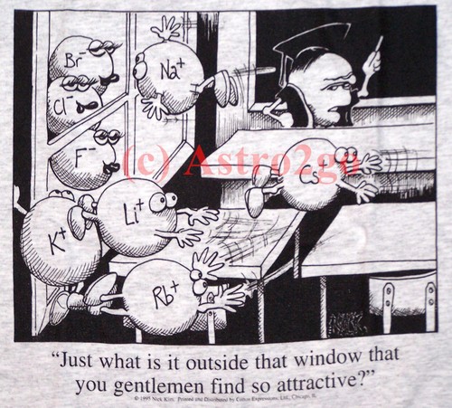 Nick Kim-OPPOSITES ATTRACT-Chemistry Science Ions Teacher T shirt NEW ...