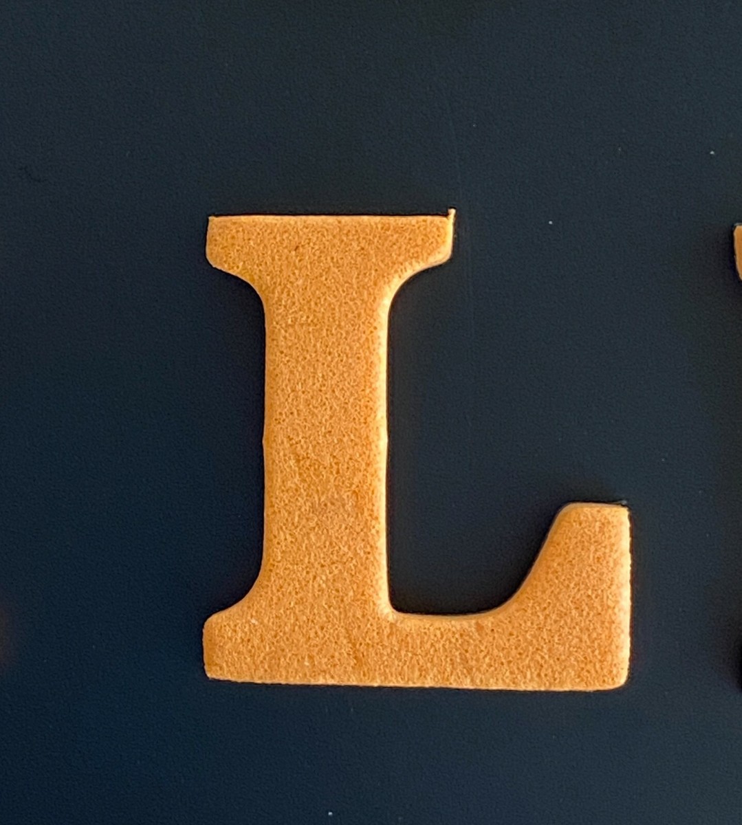 Orange Letter L